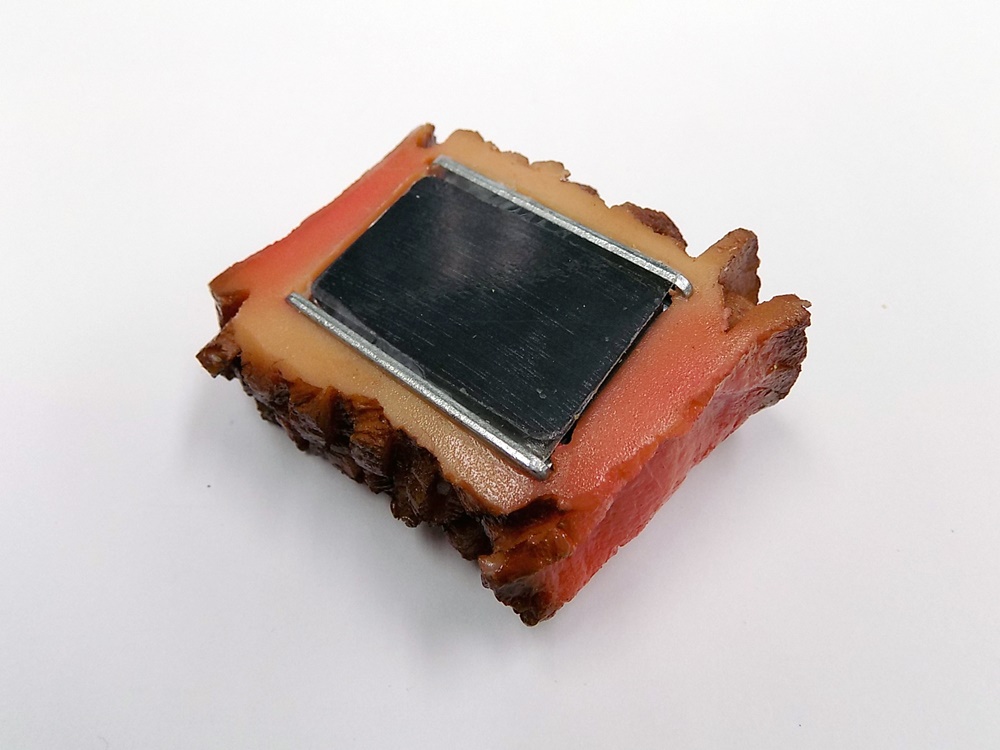 Roast Beef Magnet | Fake Food Japan